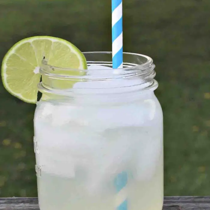 4 Saltgrass Drink Recipes | February 13, 2026 | Recipe Self